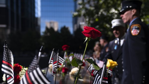 Prominent Union Leader Has ‘Deep Ties’ to Mafia, Serbian Gangs, Feds ...