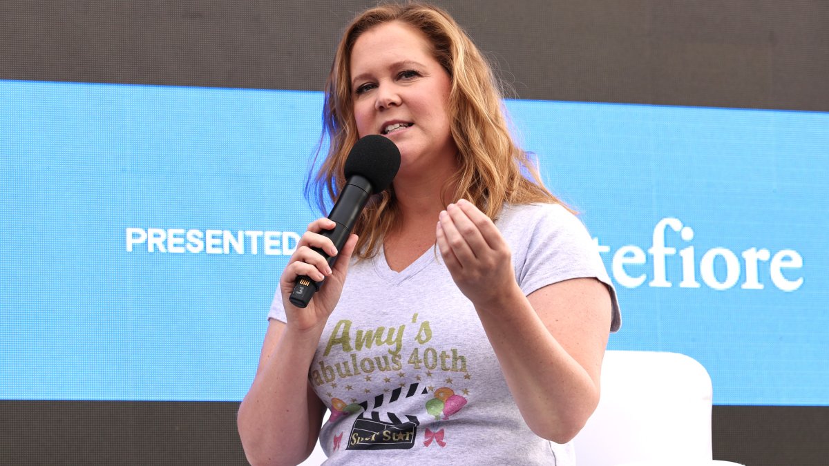 Amy Schumer Says She Had Her Uterus And Appendix Removed During