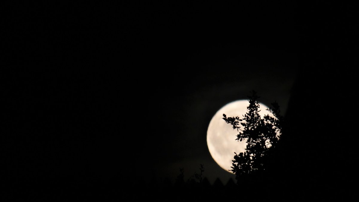 Hunter’s Moon: What It Is and When You Can See It – NBC New York