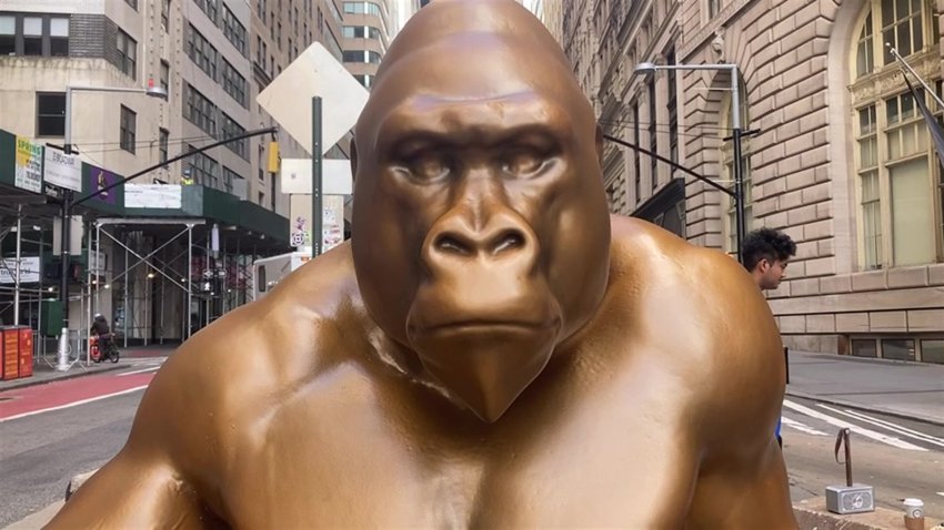 gorilla climbing tower