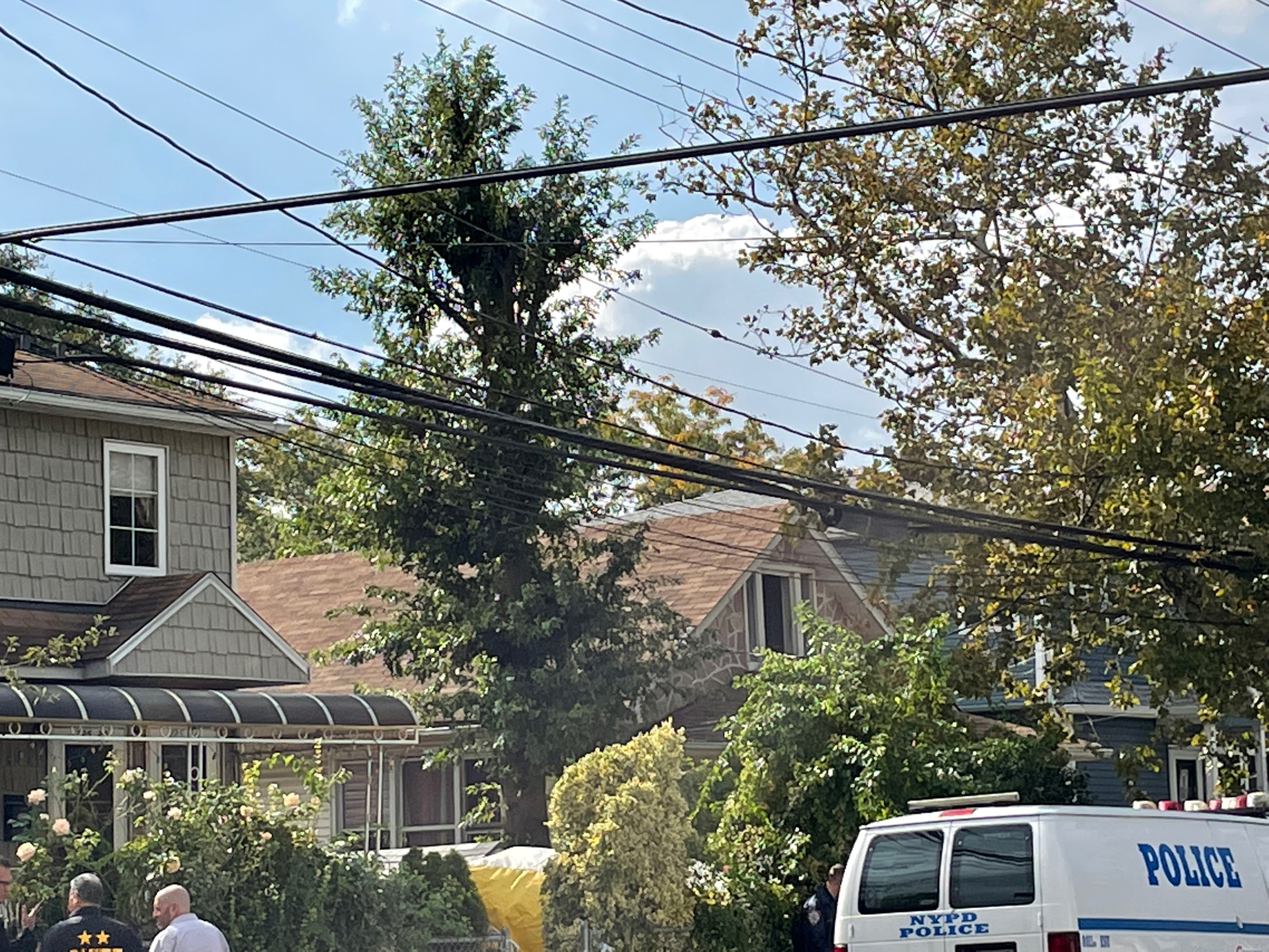 Man Evading Police in NYC Tree for 48-Plus Hours Finally Comes Down ...
