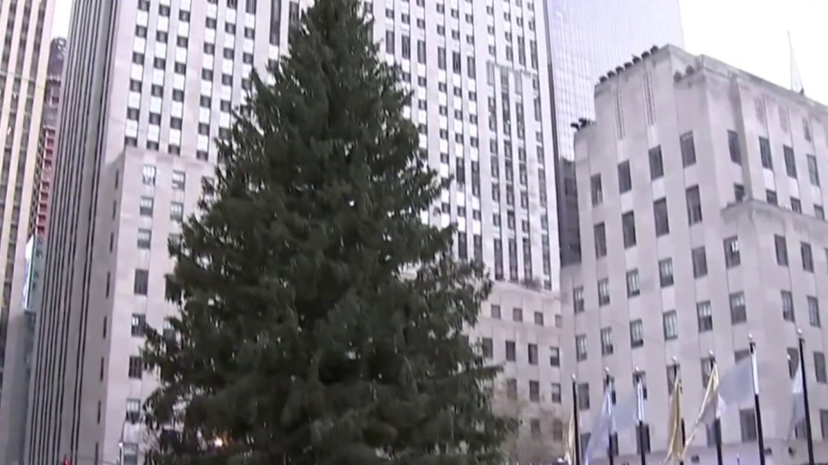 What to Know: Rockefeller Center Tree Lighting – NBC New York