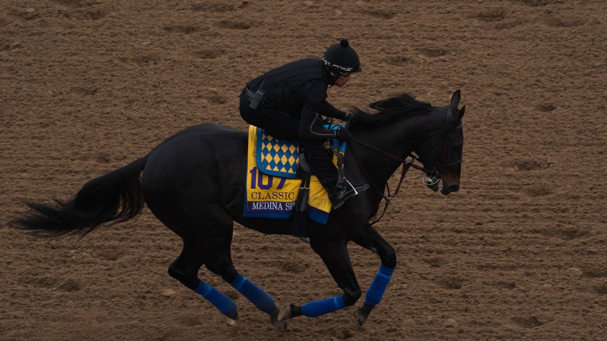 Medina Spirit, 2021 Kentucky Derby Winner, Dies At Santa Anita Park ...