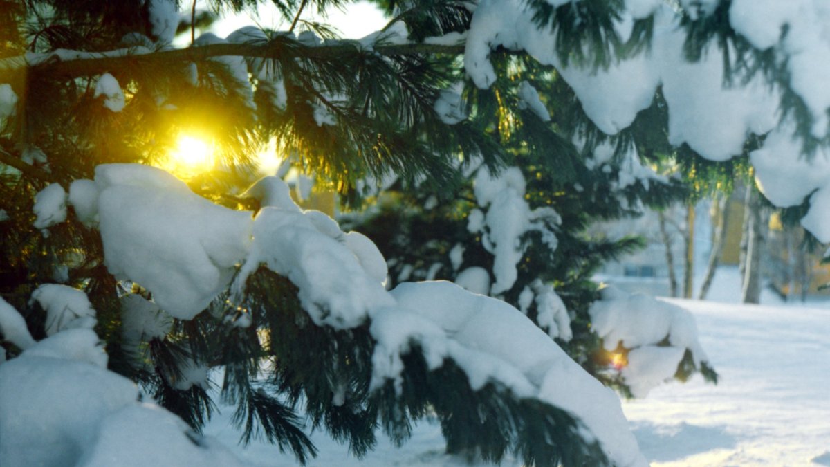 When Is the First Day of Winter and What Is the Winter Solstice? – NBC ...