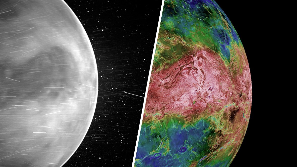 Dark Side of Venus Revealed in New NASA Photos – NBC New York