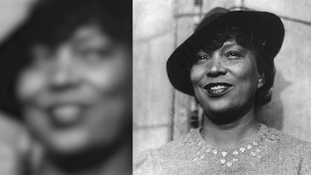 Celebrating Black History: The Successes of Author Zora Neale Hurston ...