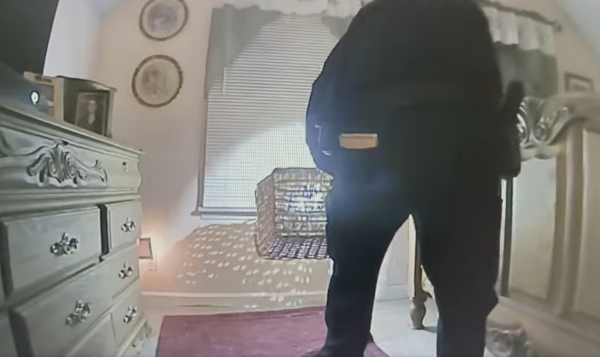 Bat in Bedroom vs. NJ Police Sergeant: You’ll Never Guess Who Won – NBC ...