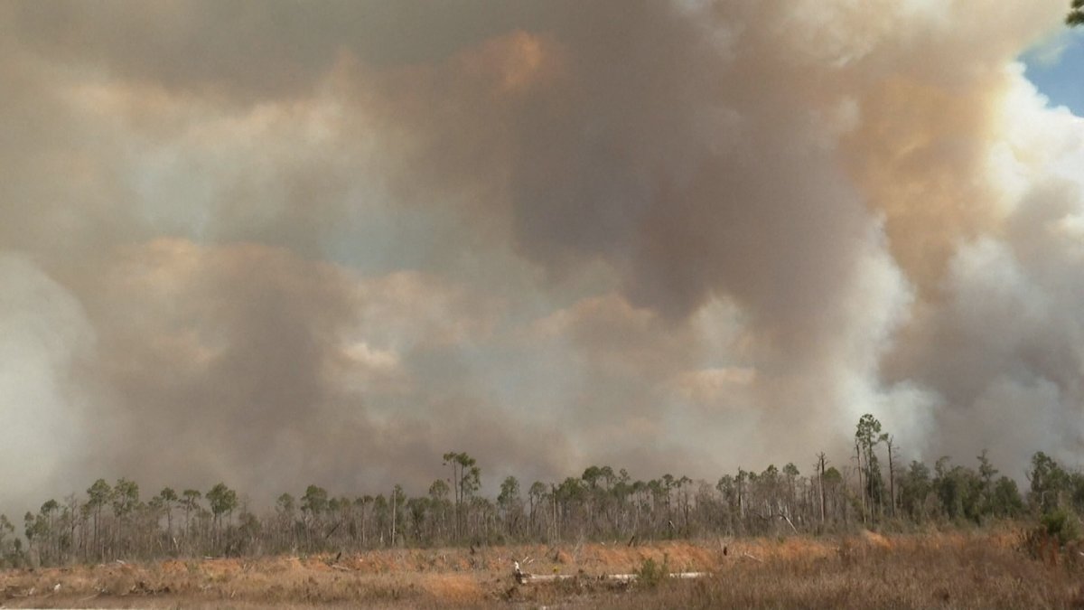 1,100 Homes Evacuated Due to Florida Wildfires – NBC New York