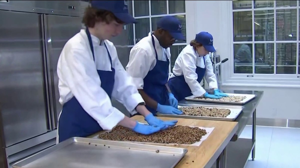 Tribeca Bakery Employs Adults With Autism – NBC New York