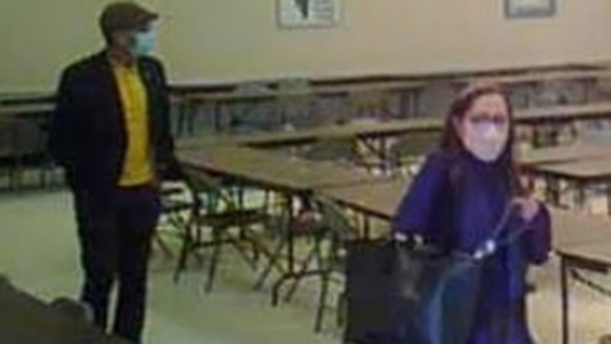 Thieves Walk Off With Box of Gold Bars and Collectibles at Long Island ...