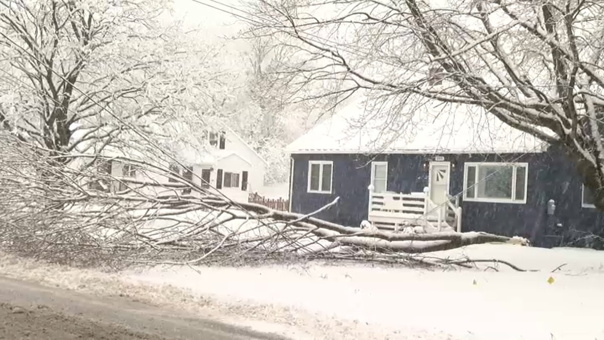 Upstate NY Gets Up To 14 Inches of Heavy, Wet Snow — Downing Trees and ...
