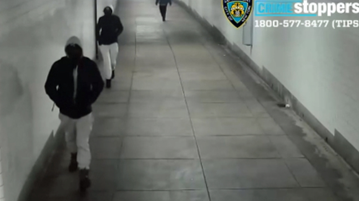 Nostrand Avenue Subway Robbery: Woman Held at Gunpoint Over $19 – NBC ...