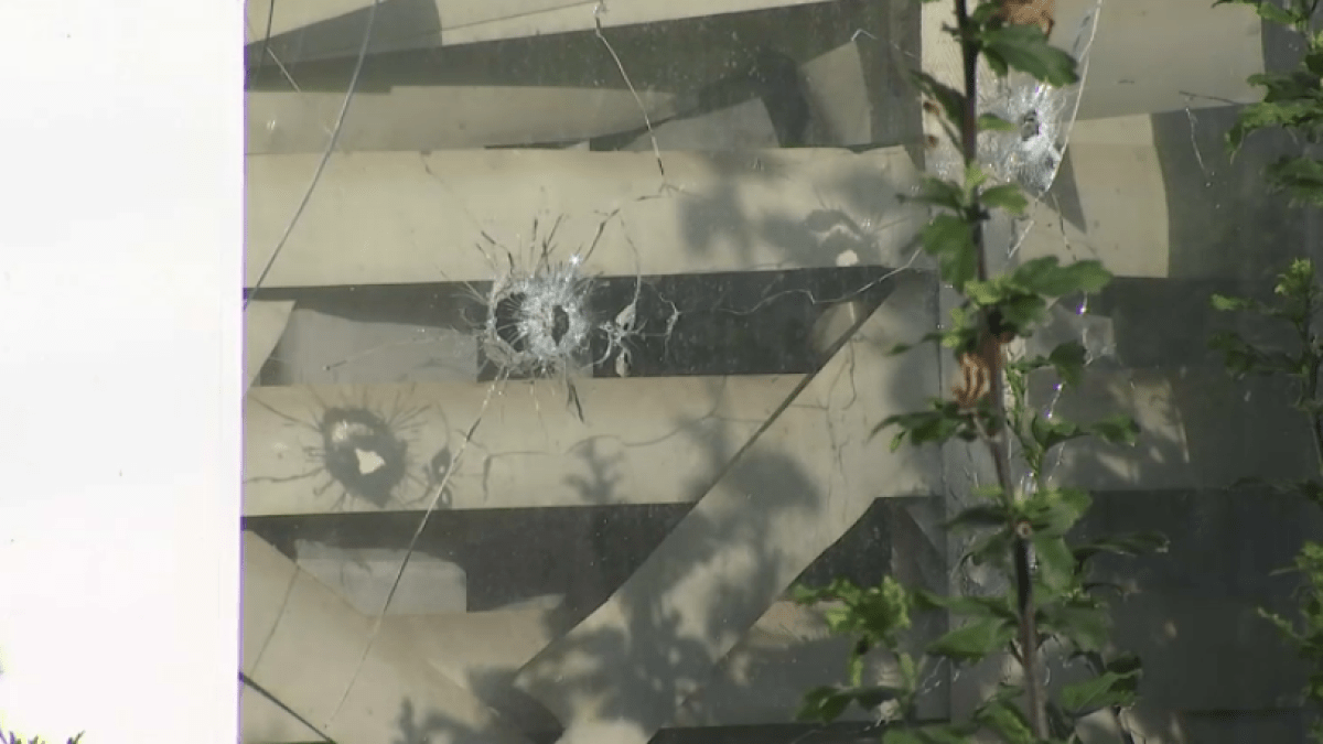 72-Year-Old Woman Hospitalized After Getting Hit by Stray Bullet While ...