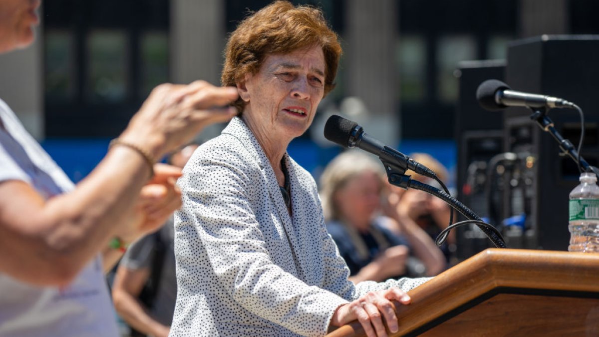 Elizabeth Holtzman Is Latest Democrat in NY House Race – NBC New York