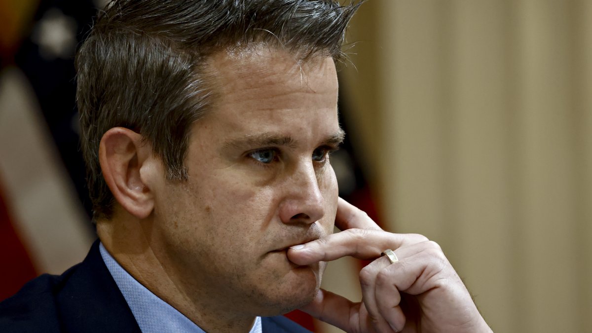 Kinzinger Condemns Fellow Republicans Who ‘Amplified Stolen Election ...