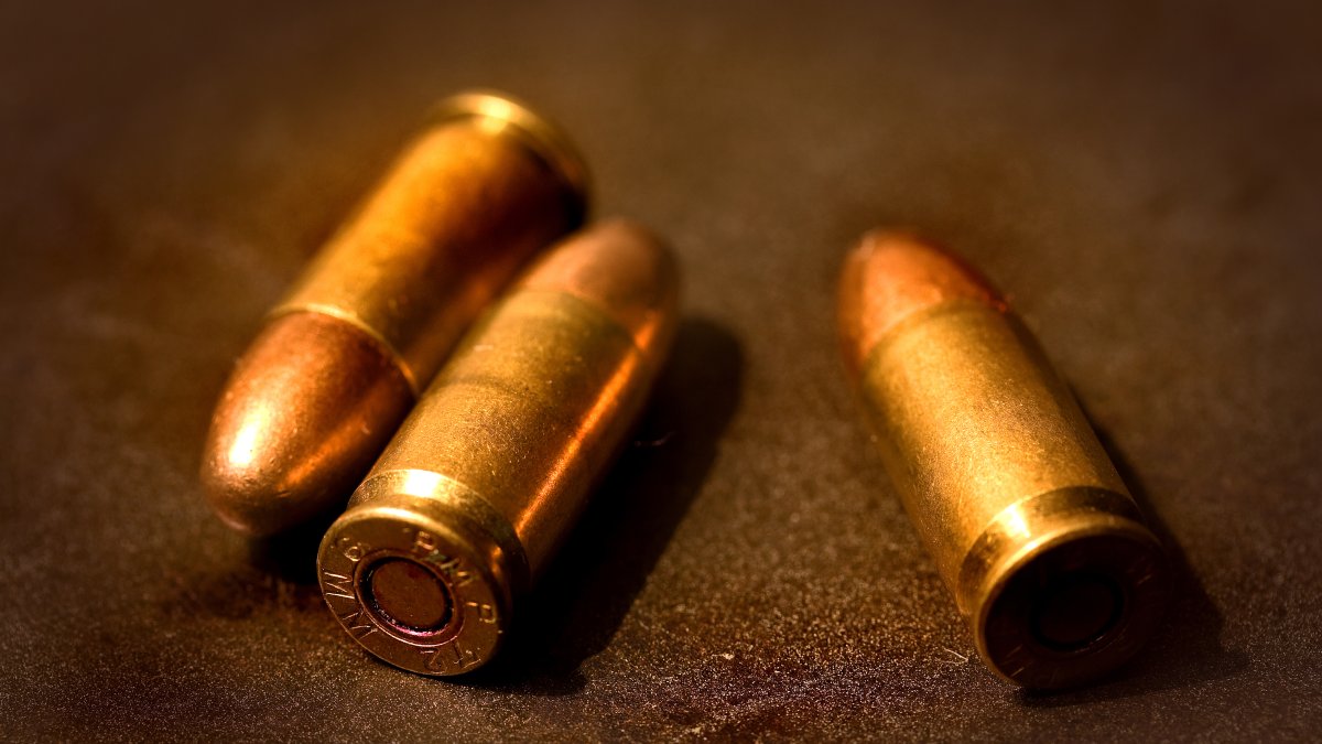 Tourists Take Cover After Bullet Hits Upstate New York Religious ...