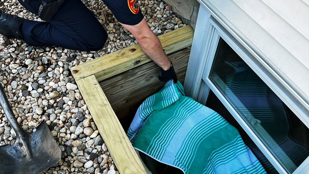 Long Island Ducks: Goose Gets Stuck in Air Conditioning Unit – NBC New York