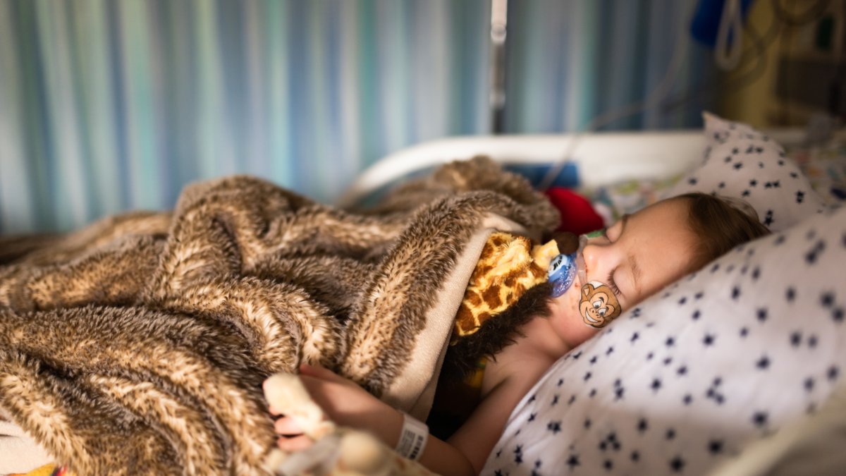 RSV, COVID and Flu Could Bring ‘Triple-demic’ This Winter – NBC New York