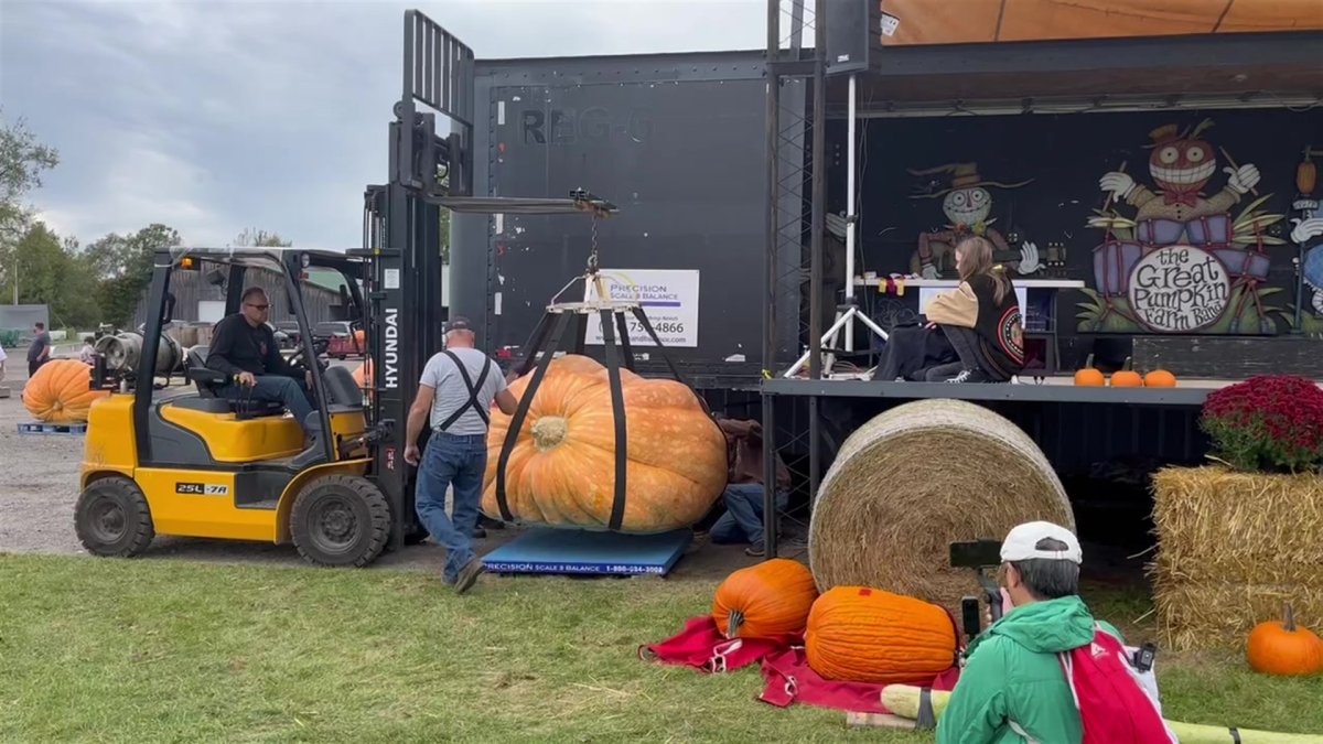 NY Pumpkin Sets Record for Nation’s Heaviest – NBC New York