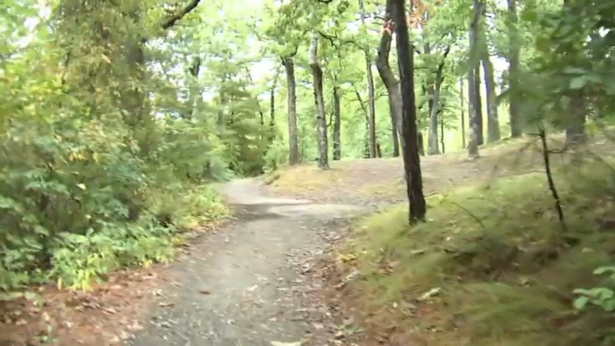 Lakewood Attack Woman Escapes Attempted Abduction In Nj Woods Nbc