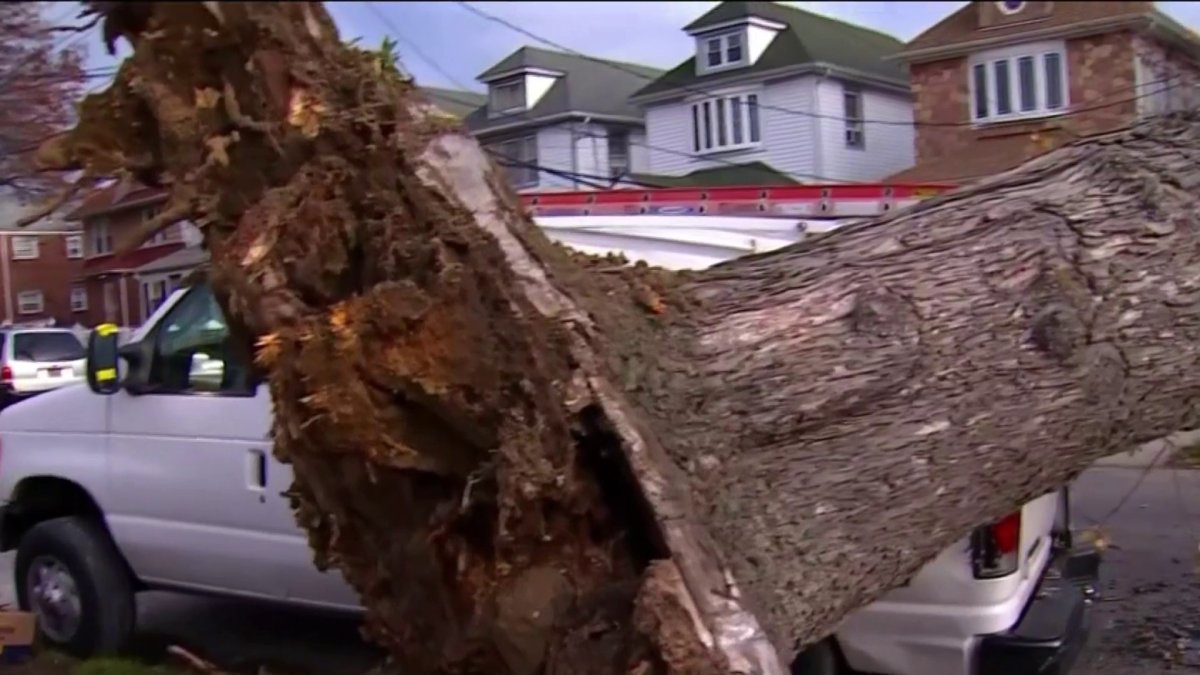 Winds Knock Tree Onto Cars and Power Lines in Queens – NBC New York