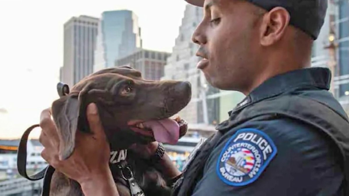 The NYPD Has a ‘K-9 and Friends’ Calendar for Department Dogs, and It’s ...