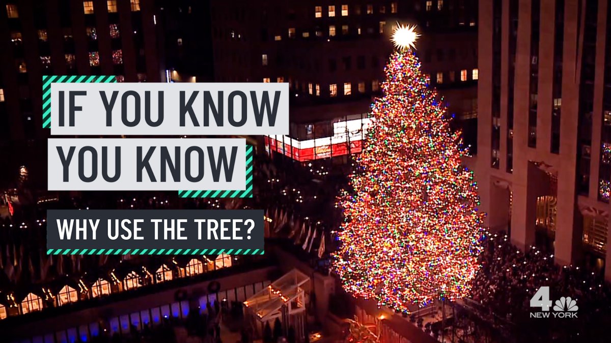 Christmas Trees: What’s Behind the Holiday Tradition – NBC New York