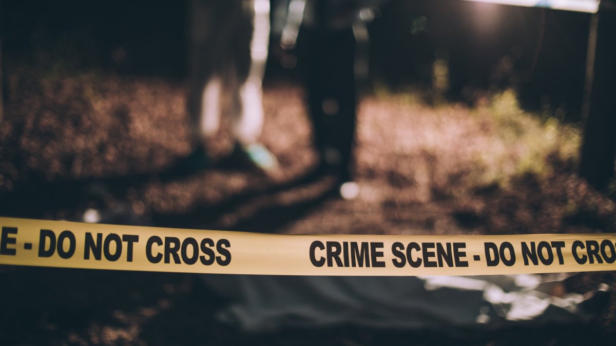 Missing NJ Girl Case: Is Skeleton Nancy Carol Fitzgerald? – NBC New York