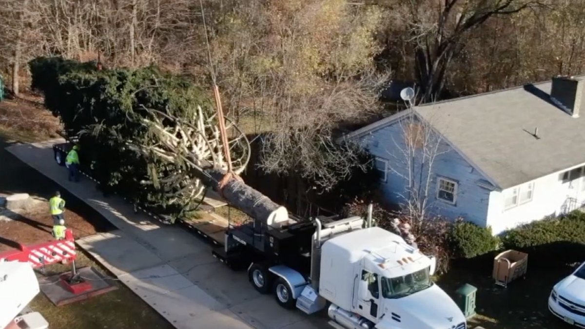 Rockefeller Center Tree History – NBC New York