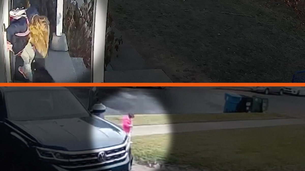 Animal Attacks Caught on Camera in Los Angeles, Connecticut – NBC New York