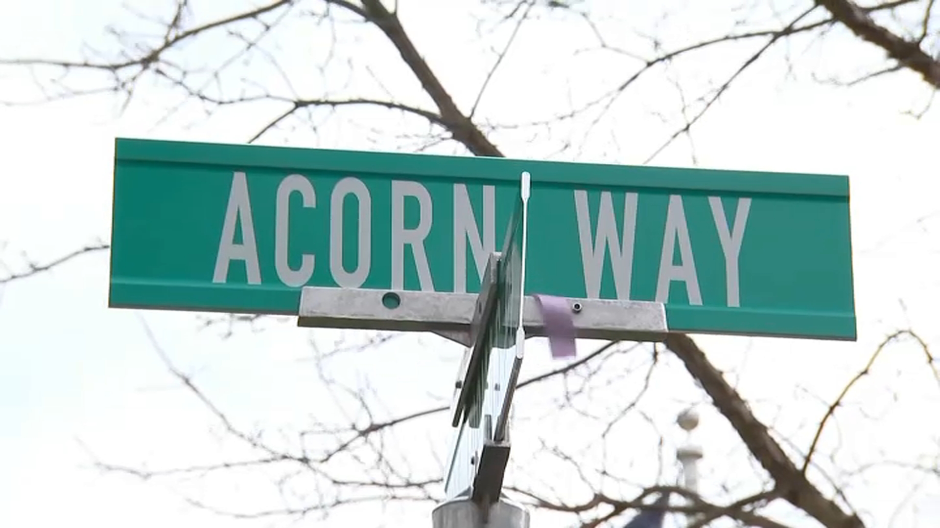 There’s Buried Treasure Somewhere in the Five Boroughs – NBC New York