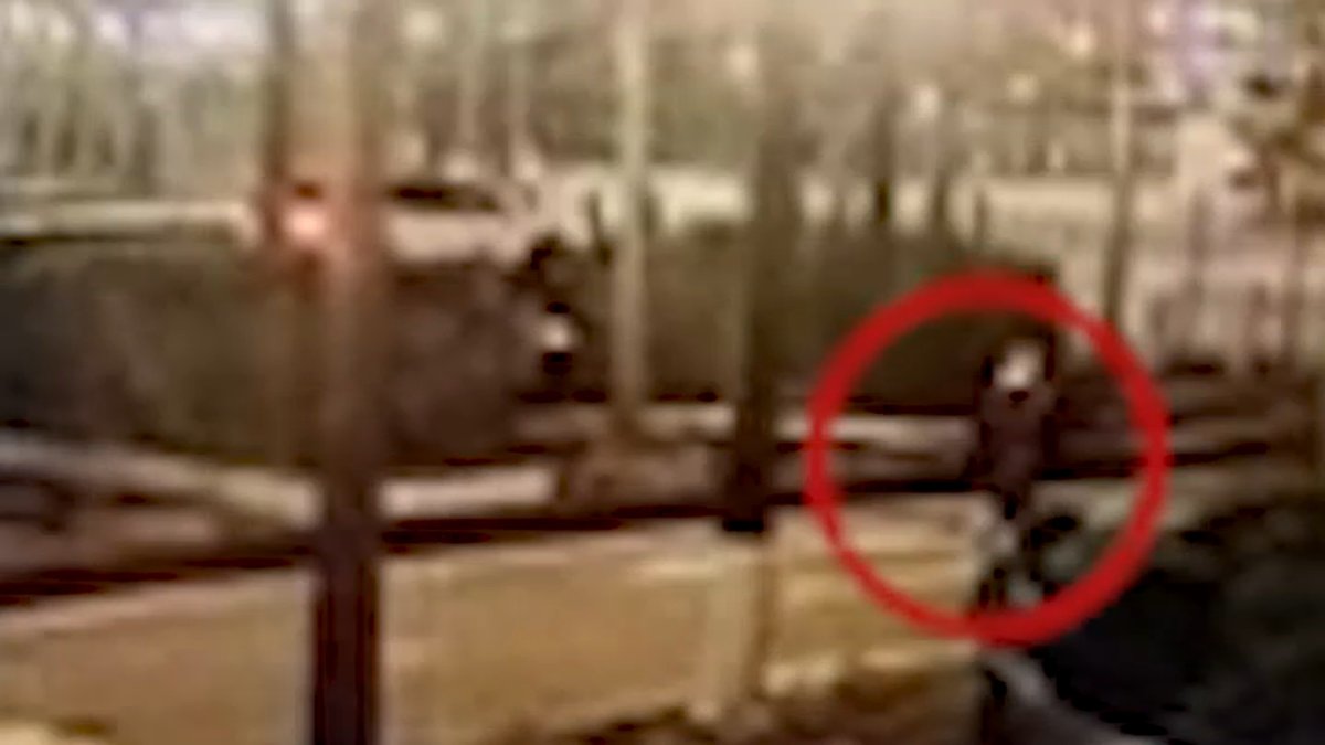 Missing CUNY Student: Where Is Jordan Taylor? Video Shows Last Moments in Lower Manhattan – NBC ...