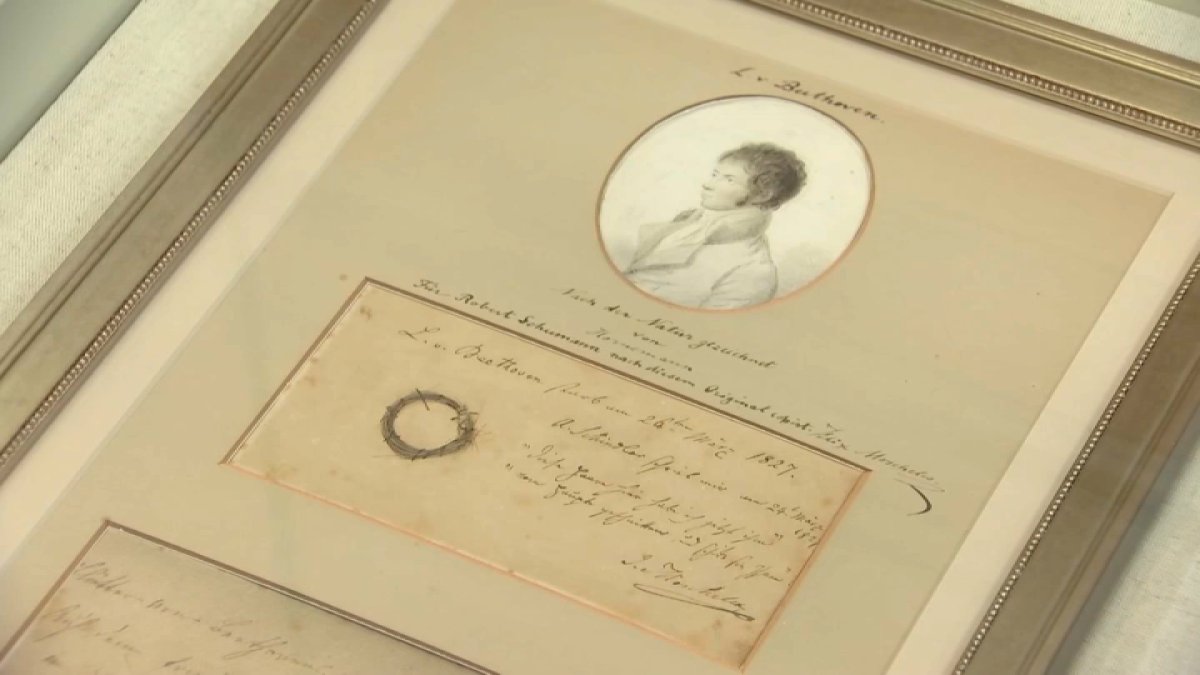 Beethoven’s DNA Unlocks New Secrets About His Life, Death – NBC New York