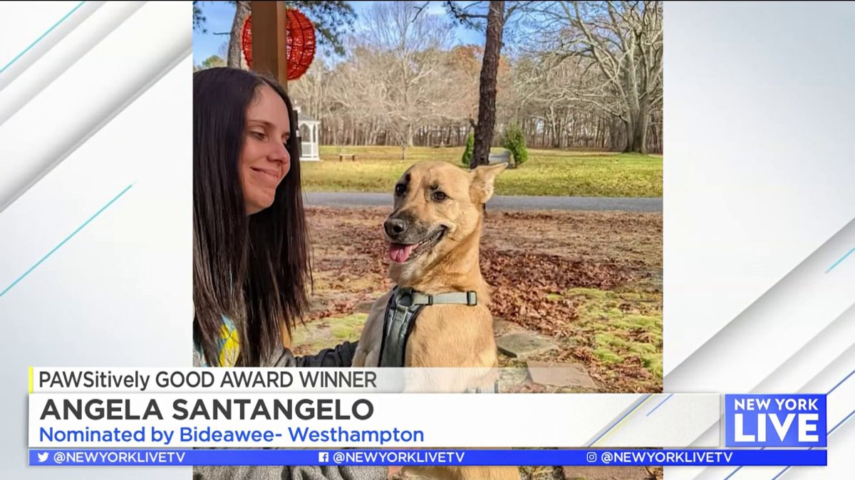PAWSitively Good Honoree: Angela Santangelo – NBC New York