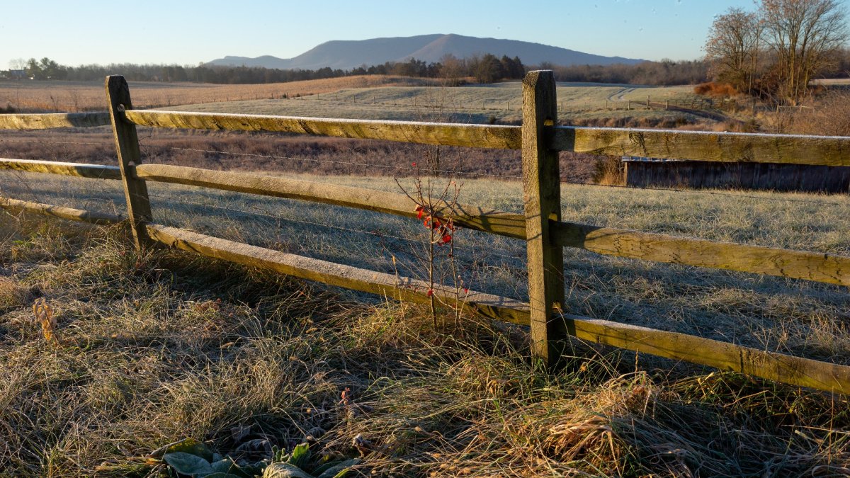 Civil War Reenactor Pleads Guilty to Placing Pipe Bomb at Virginia ...