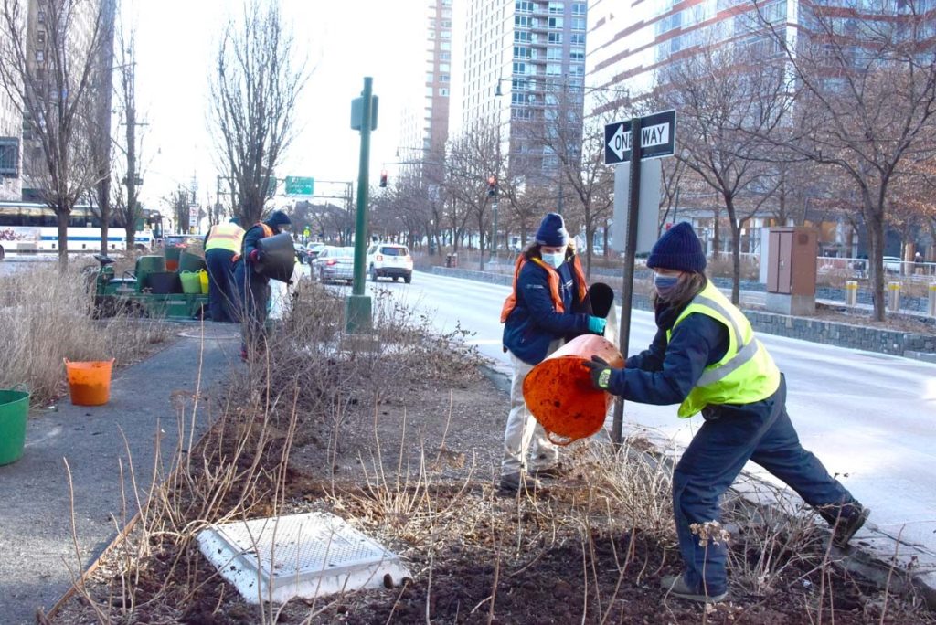 This Neighborhood Wants to Compost Your Dog Poop – NBC New York
