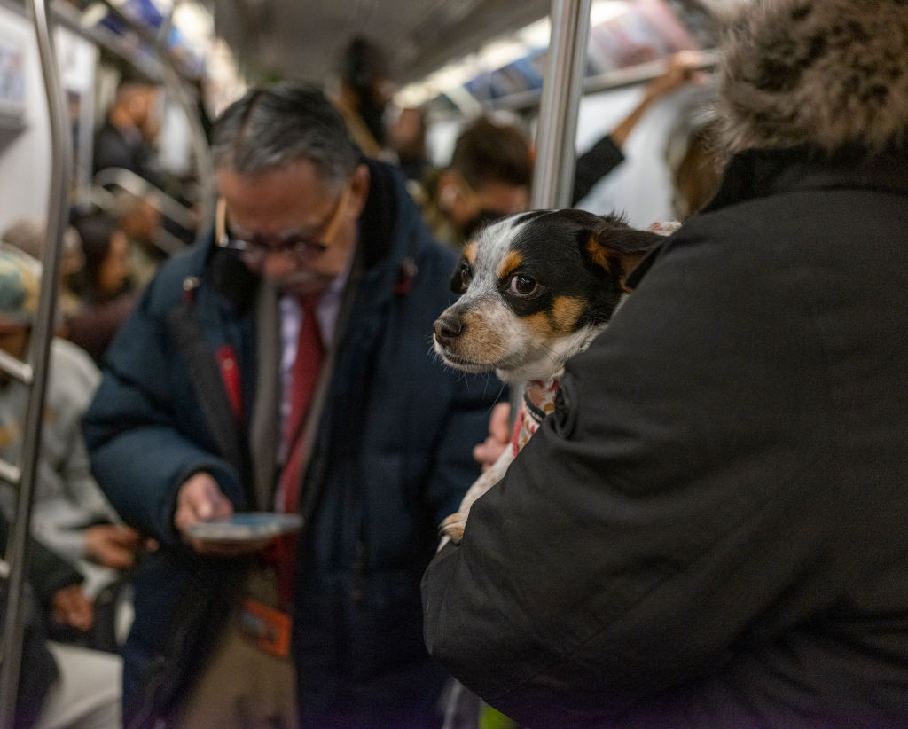 MTA Alerts Subway Riders to New PEV Policy – NBC New York