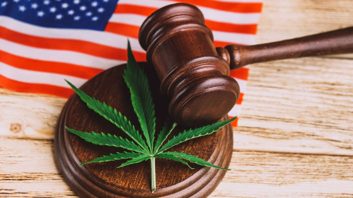 Here Are All the States That Have Legalized Weed in the US – NBC New York