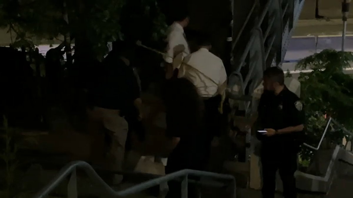 Major Deegan Expressway: 3-Month-Old Found Dead In Wooded Area Off of ...