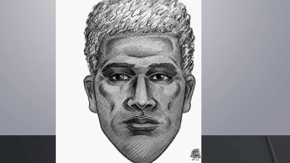 Search For Sexual Predator In Prospect Park Nbc New York