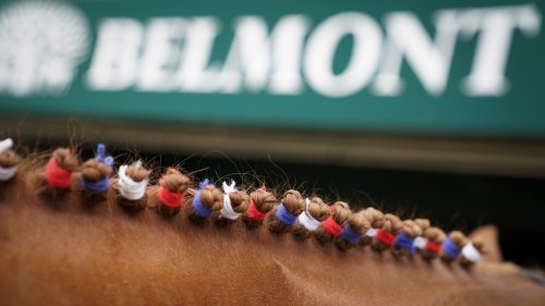 Horse euthanized after 13th at Belmont – NBC New York