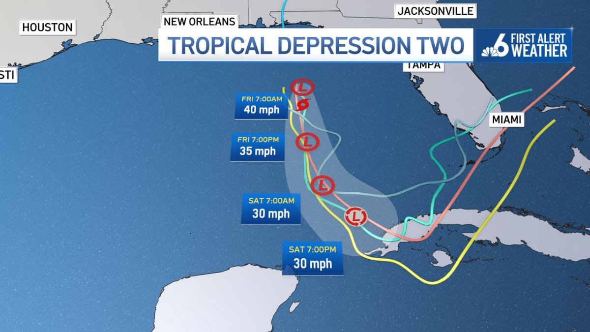 Tropical Depression Two Forms in Northeastern Gulf, Expected to Be ...