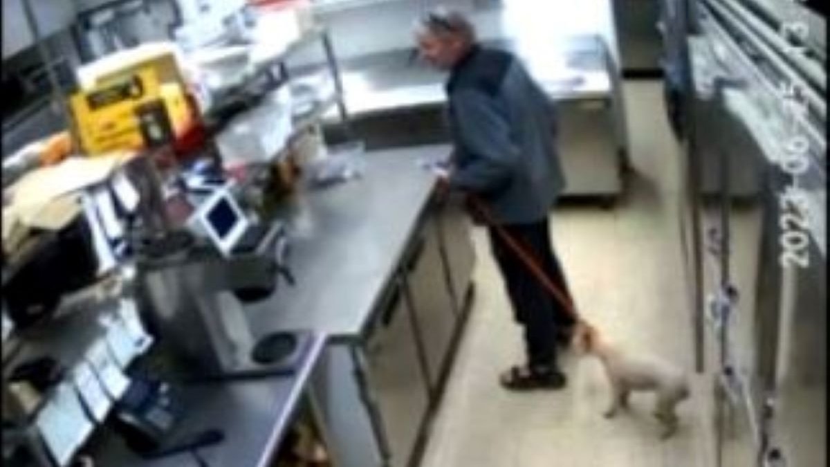 Video shows man walking dog confront SoCal pizza chef – NBC New York