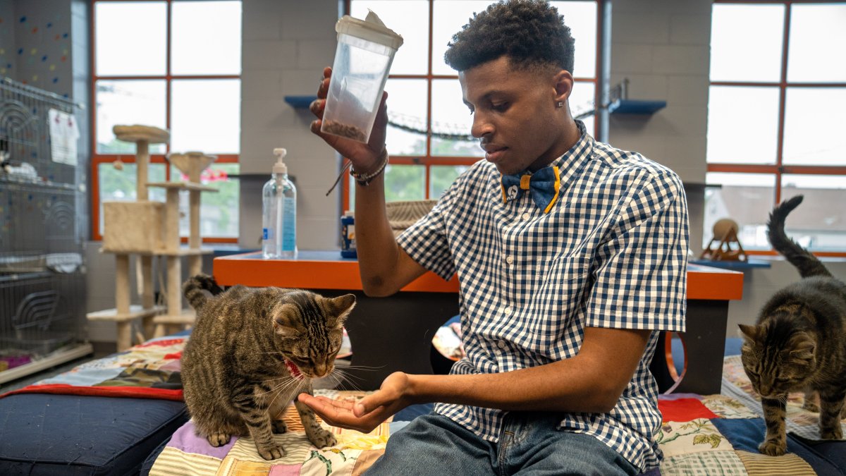 Teen’s mission is to save shelter animals one bow tie at a time – NBC ...