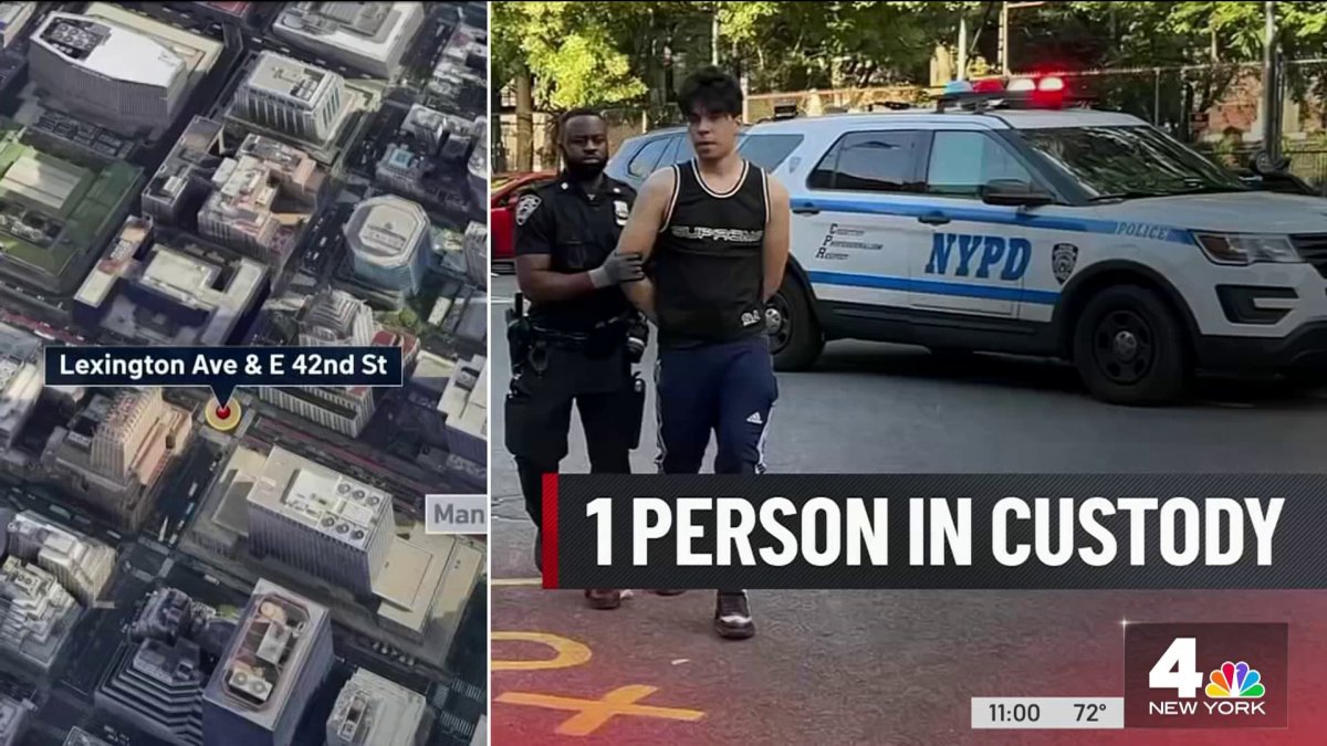 Man fleeing from police mows down pedestrians: NYPD – NBC New York