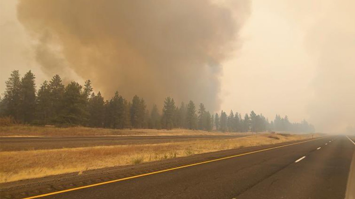 2 dead in Washington state wildfires – NBC New York