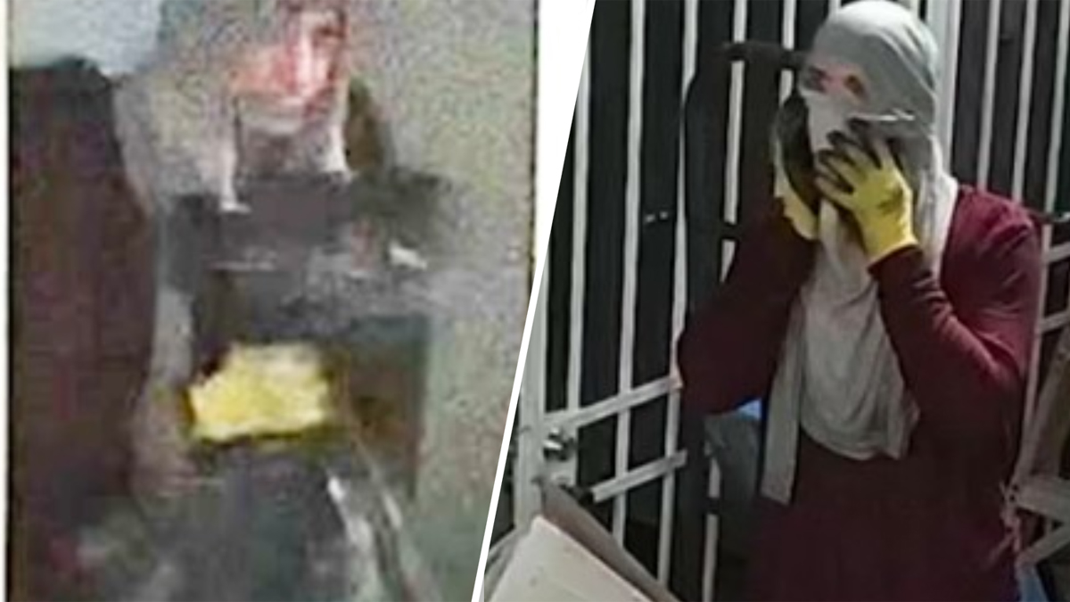 Burglar busts through North Miami pawn shop’s roof in $160K heist ...