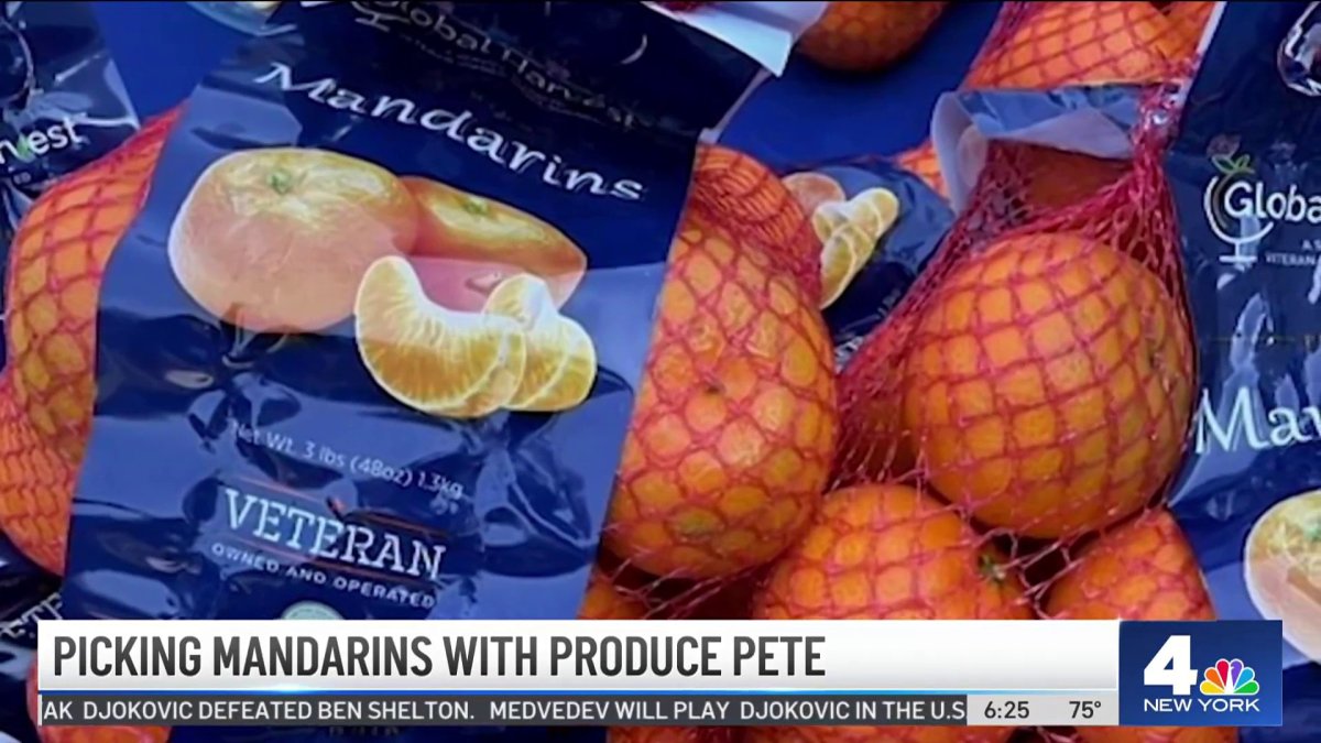 Produce Pete: Picking mandarins – NBC New York