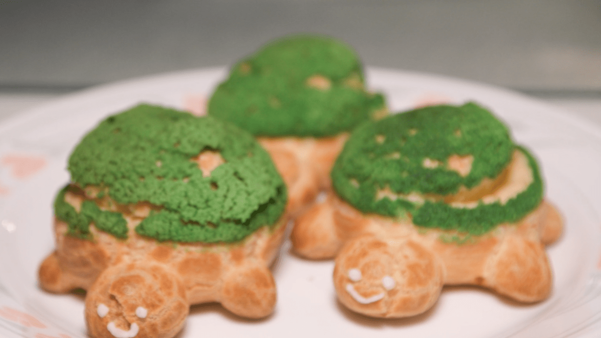 Check Out The Cutest Turtle Cream Puffs – NBC New York