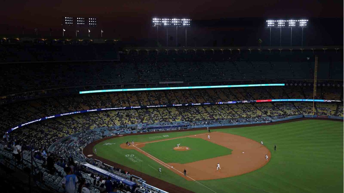 Giant bubble, wild goose fly over field during Dodgers-Tigers game ...